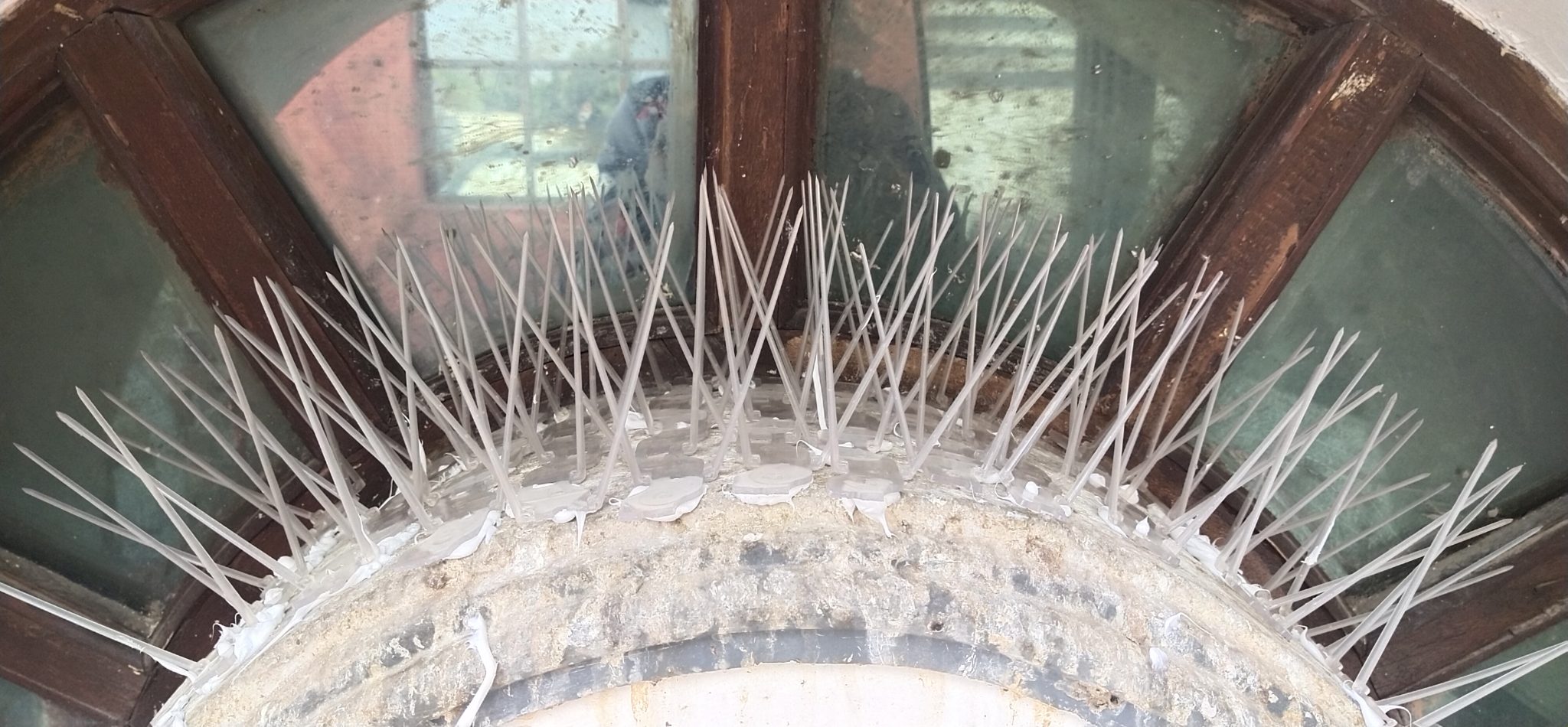 Monkey Spikes - Net N Spike | Bird spike manufacturer